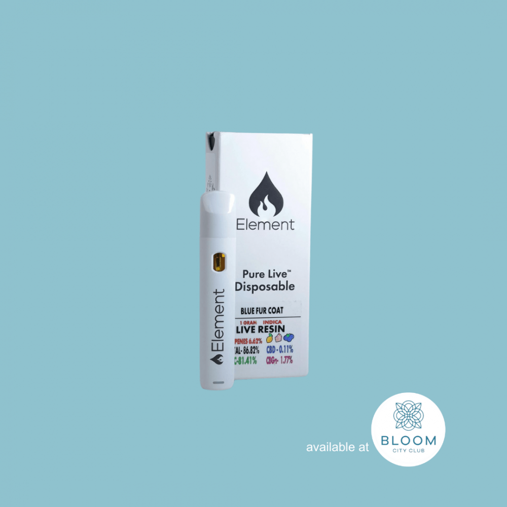 Best Vape Carts in Michigan: Our Top Picks - Bloom City Clu