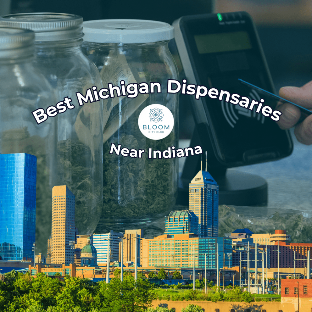 Discover the Best Michigan Dispensaries Near Indiana Border - Bloom ...